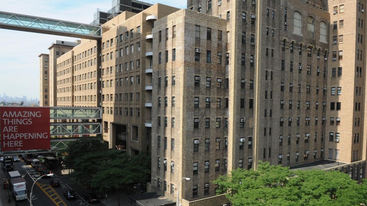 The New Mentors of the Year for 2020 | Irving Institute for Clinical ...