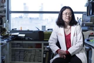 Departure of Esteemed Faculty Member Wendy Chung | Irving Institute for ...
