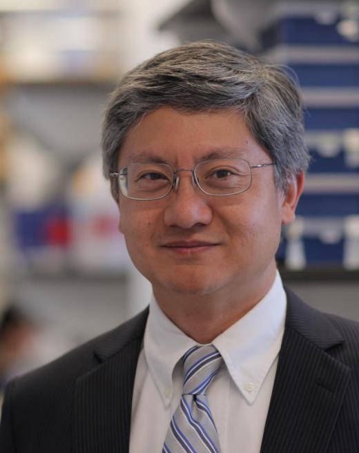 Announcing Multi-PI Planning Grants to Support Innovative Research ...